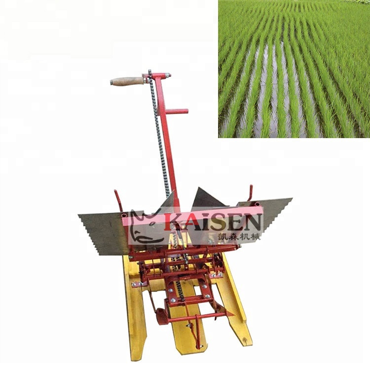 Walking Type 2 Rows Mini Manual Rice Transplanter
