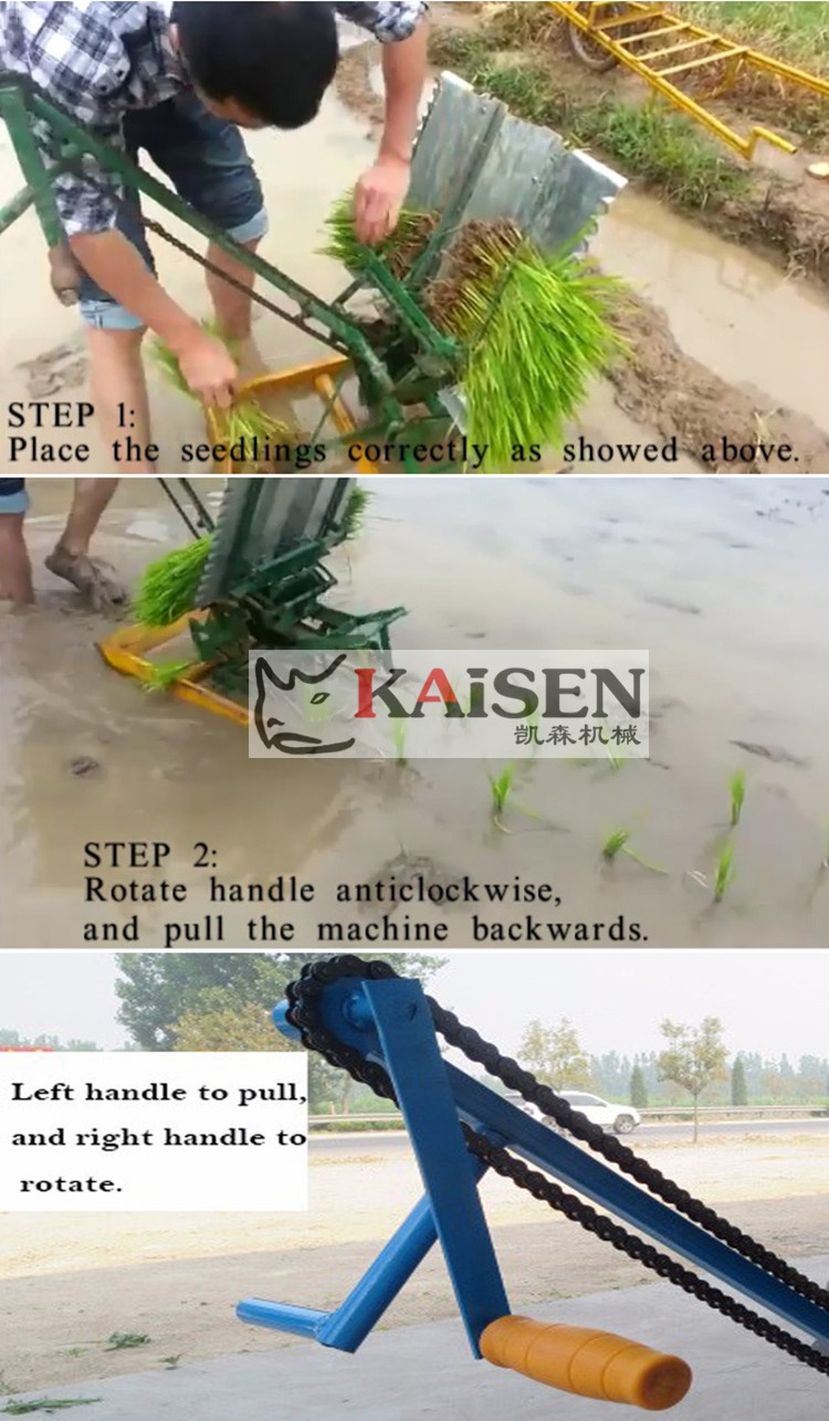 Walking Type 2 Rows Mini Manual Rice Transplanter